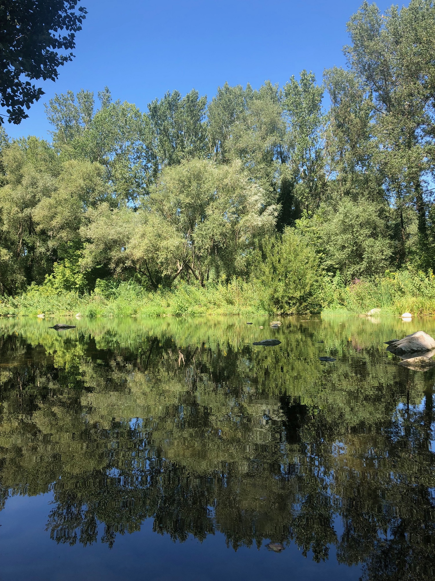 A la llera del riu Fluvià - Camping de Besalu